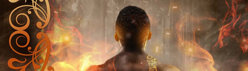 Cover Design for Fire Flight - Jenneth Leed